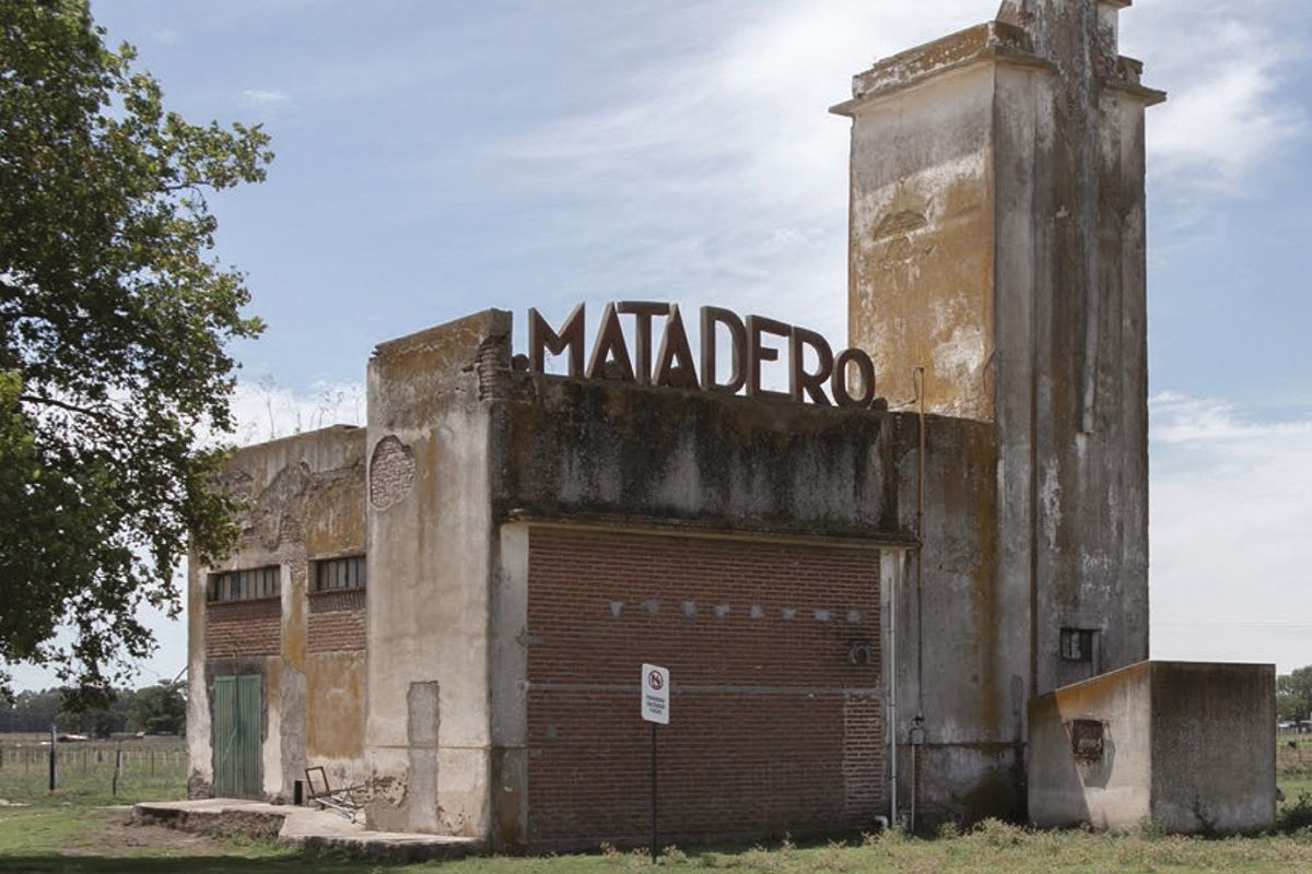 El libro de la semana: "Ruta Salamone", un viaje por el legado de ...