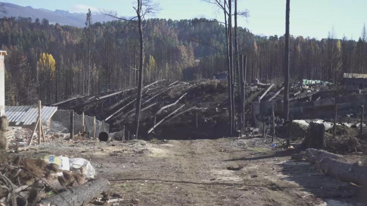 Todos los estrenos semanales de BAFILMA | EscribiendoCine