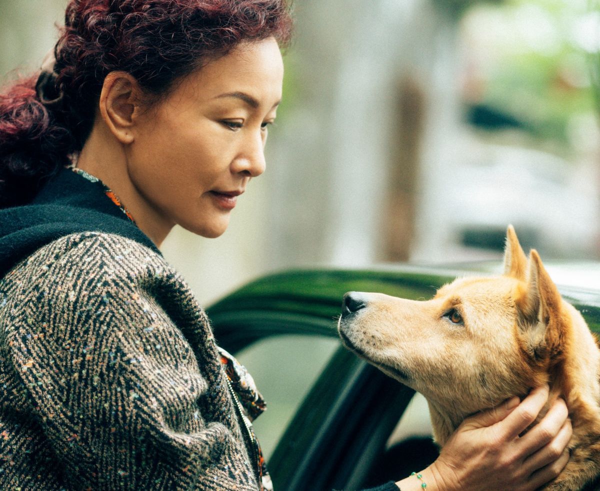 Crítica de “Hachiko 2: Siempre a tu lado”: un emotivo y sencillo aburrimiento sobre la lealtad ...