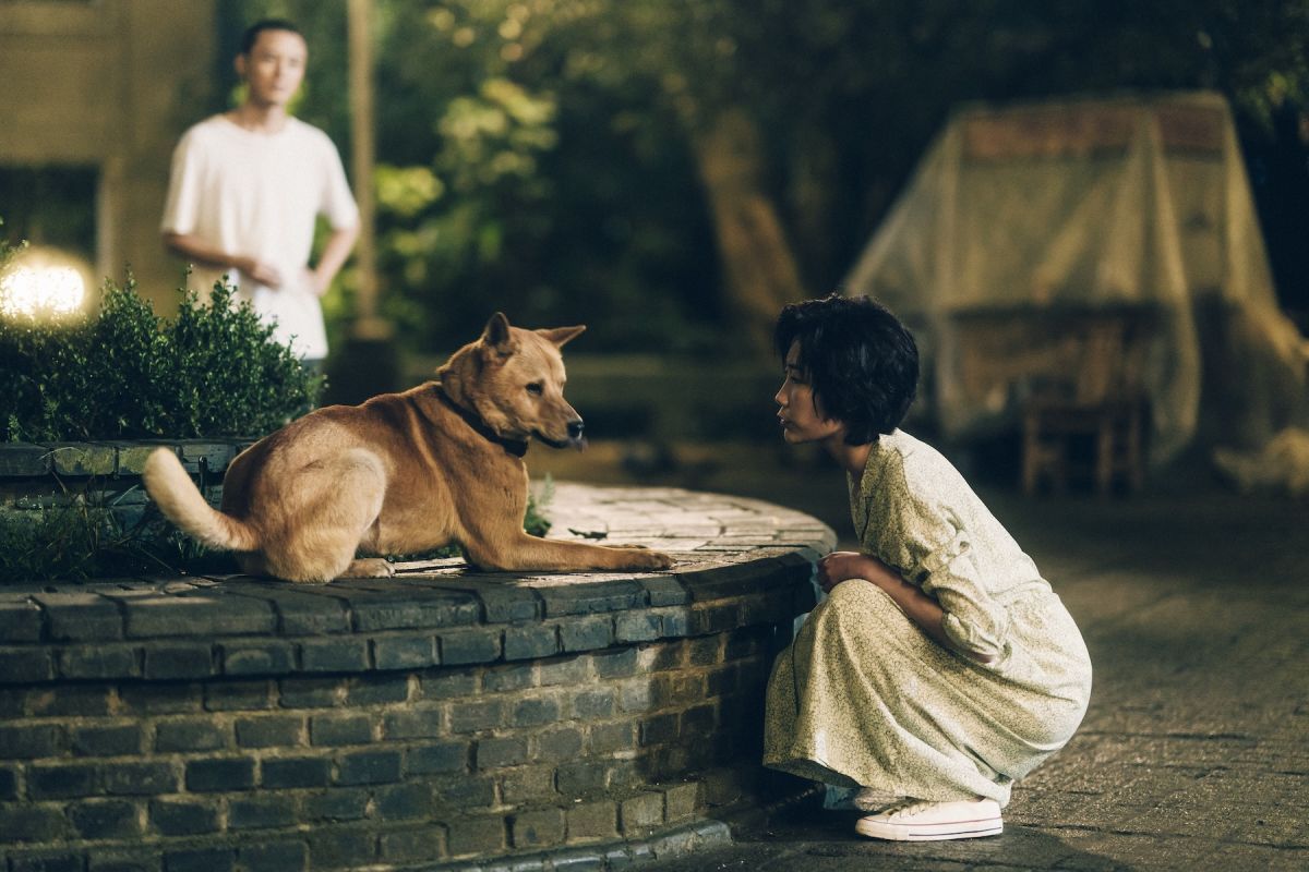 Crítica de “Hachiko 2: Siempre a tu lado”: un emotivo y sencillo ...