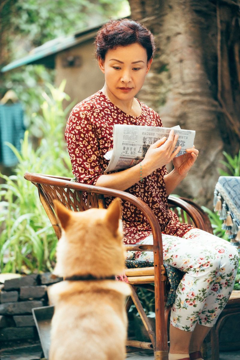 Crítica de “Hachiko 2: Siempre a tu lado”: un emotivo y sencillo ...