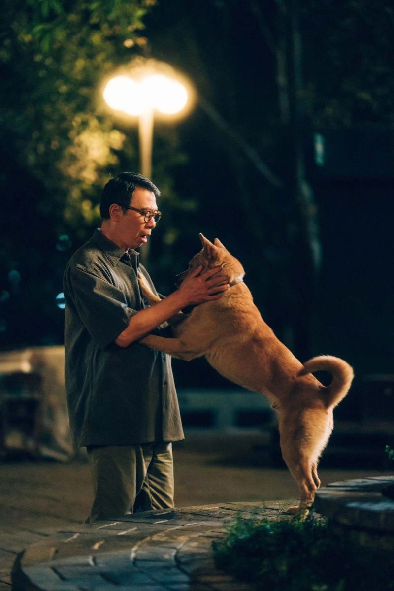 Crítica de “Hachiko 2: Siempre a tu lado”: un emotivo y sencillo ...