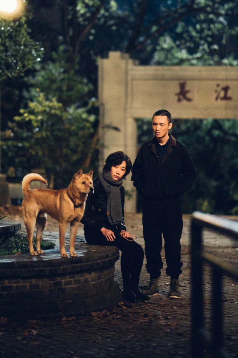 Crítica de “Hachiko 2: Siempre a tu lado”: un emotivo y sencillo aburrimiento sobre la lealtad ...