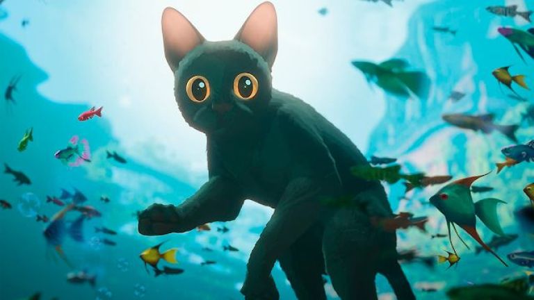 Crítica de “Flow”: Un gato negro como clave para la supervivencia de la ...